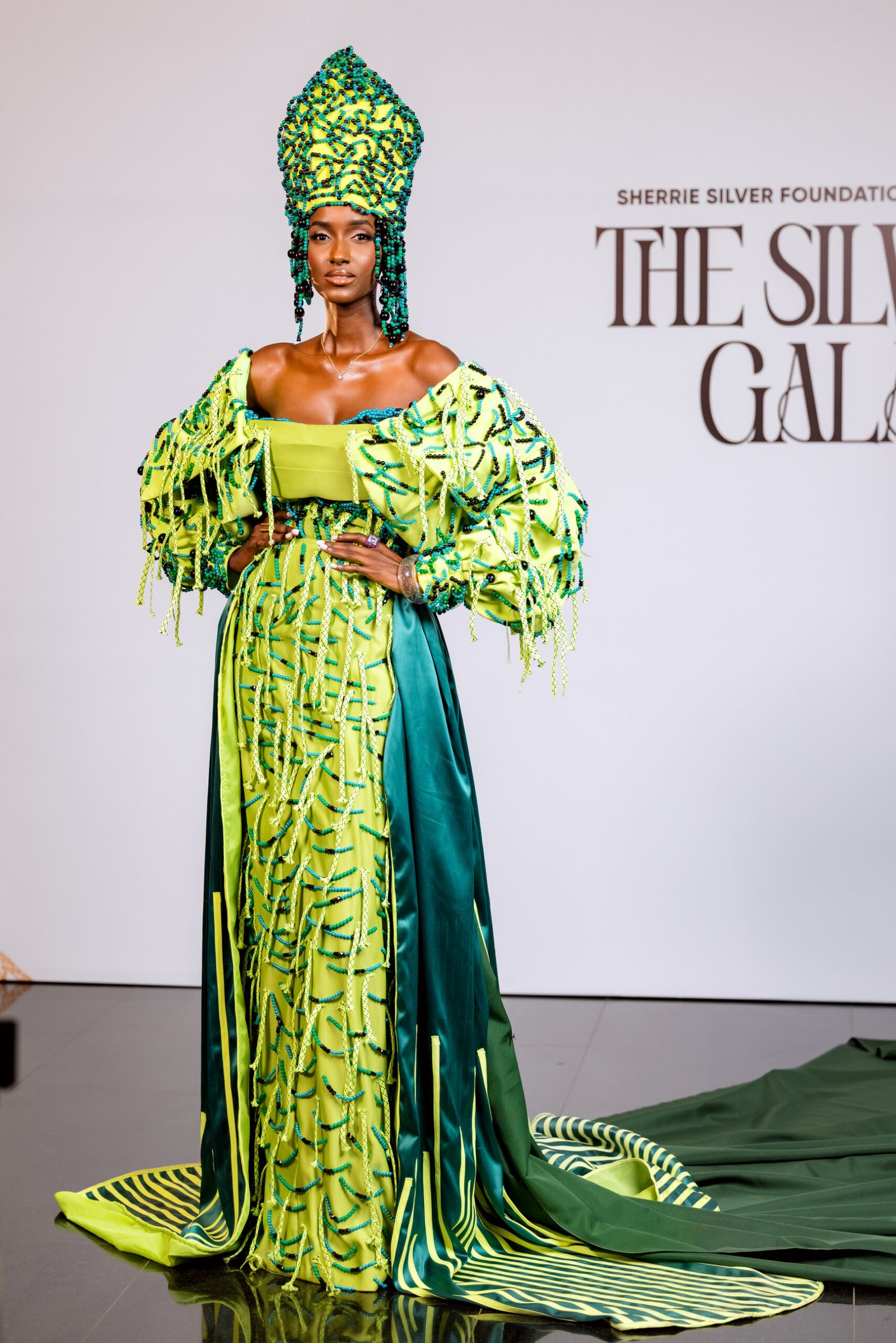 The Silver Gala - Sherrie Silver Foundation