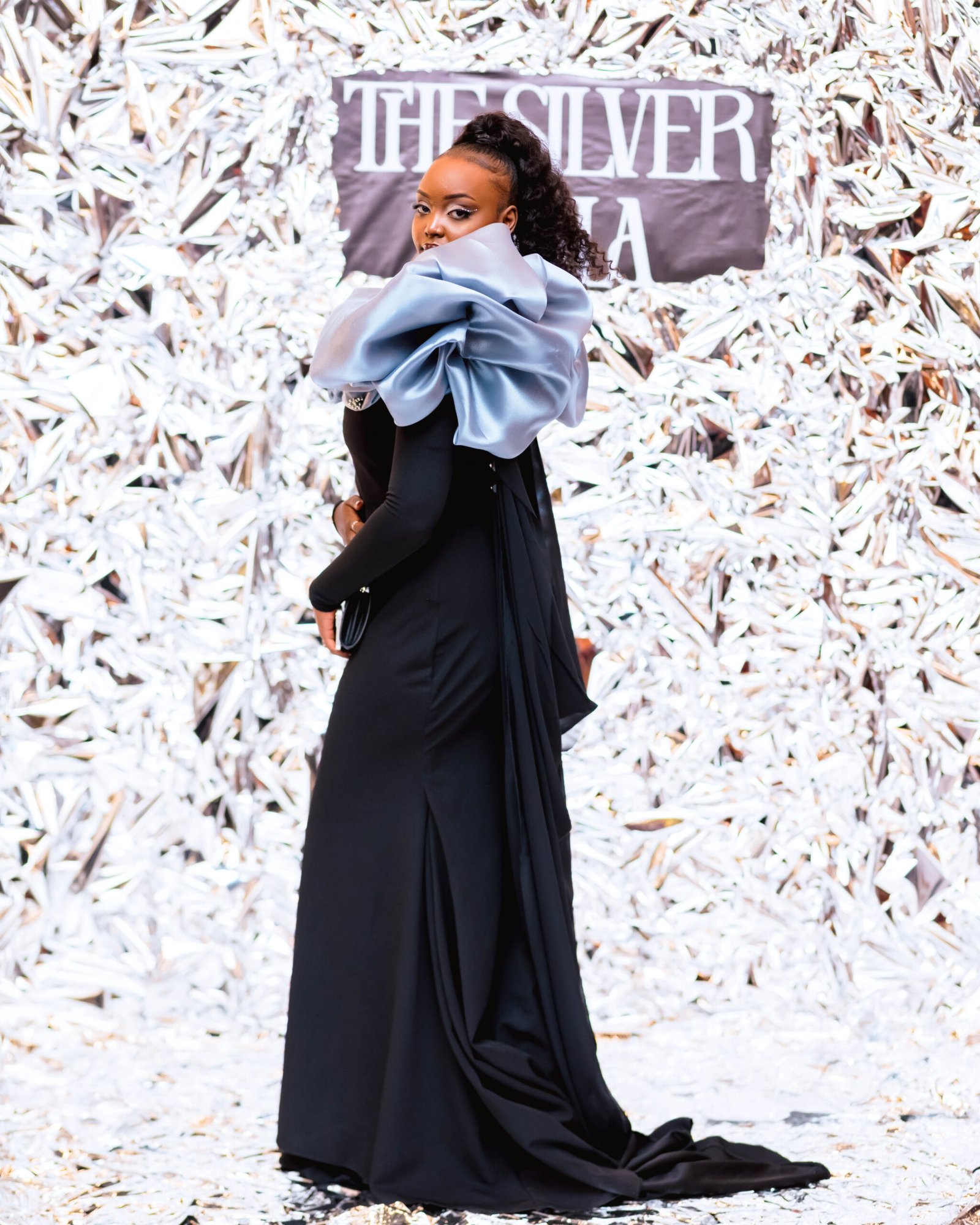 The Silver Gala - Sherrie Silver Foundation